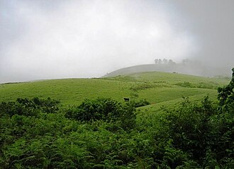 Trichy Dream Holidays | Tamil Nadu & South India Travel Agency in Trichy